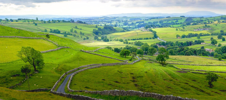 Country Road Driving Tips | Navigating the British Countryside